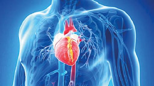Explained: How Can You Find Your Risk of Developing Coronary Artery ...