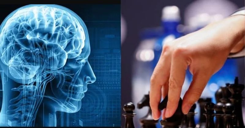 Humans Are Getting Smarter As A Species