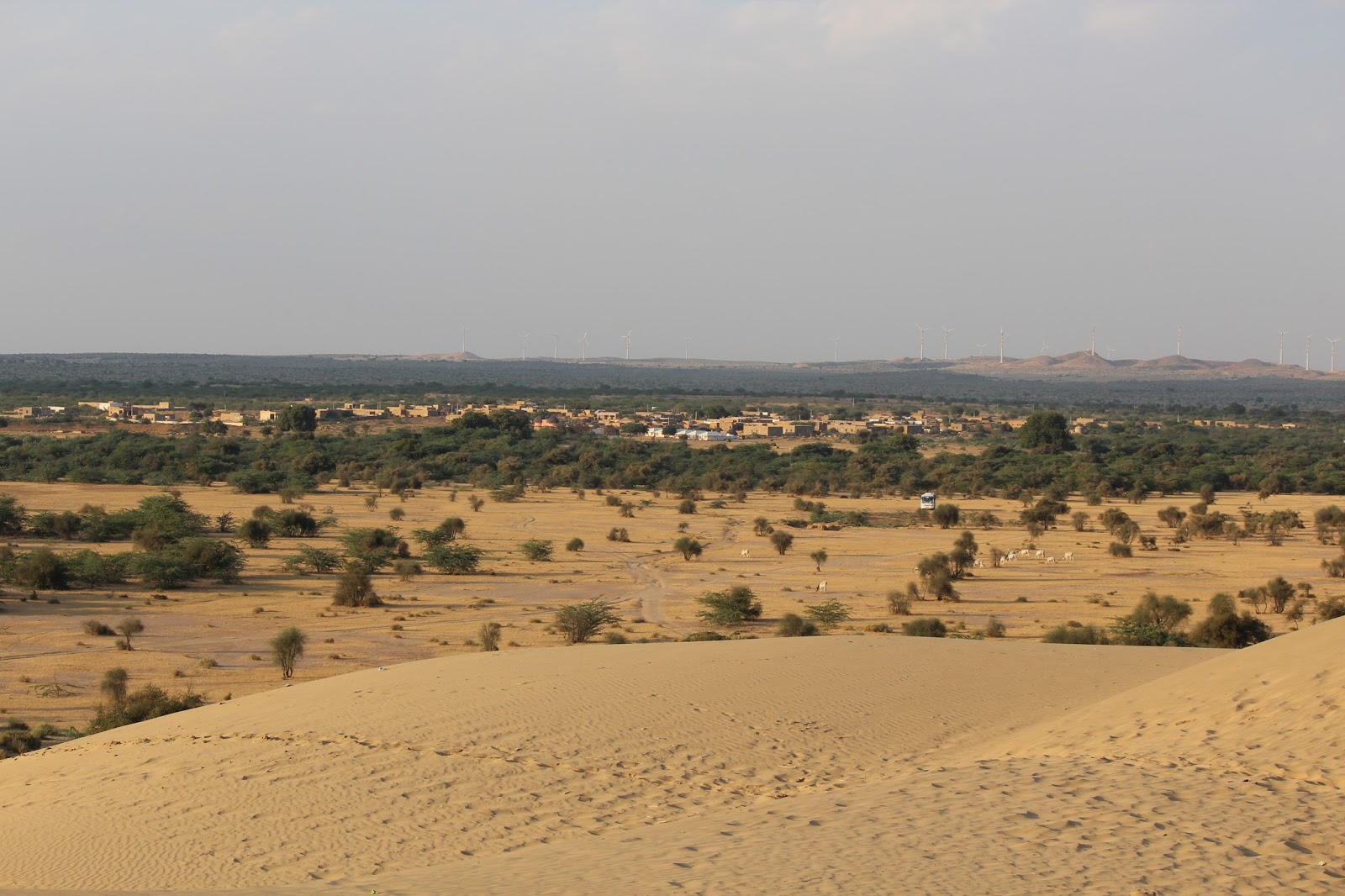 India’s First Sand Dune Park In Goa