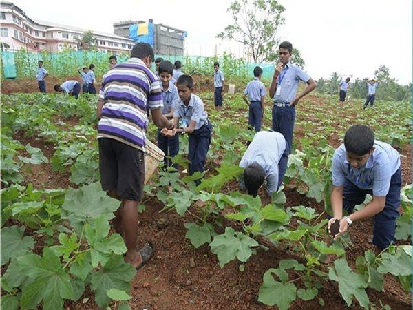 Lucknow School Students Grow Vegetables