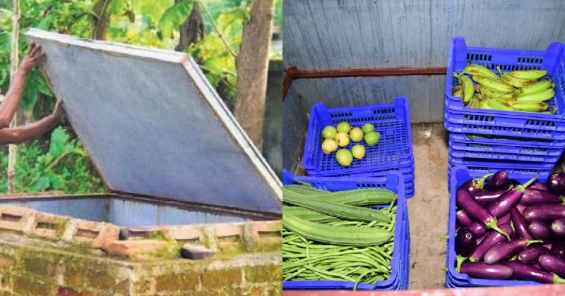 'Sabji Cooler' In Odisha Village Is Helping Farmers Earn More