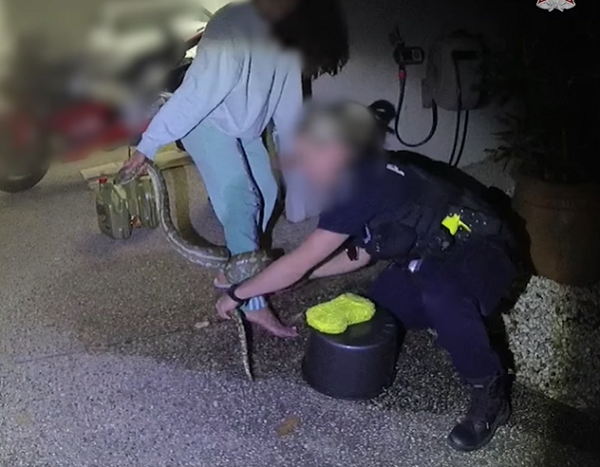 Python Coils Around Woman's Leg