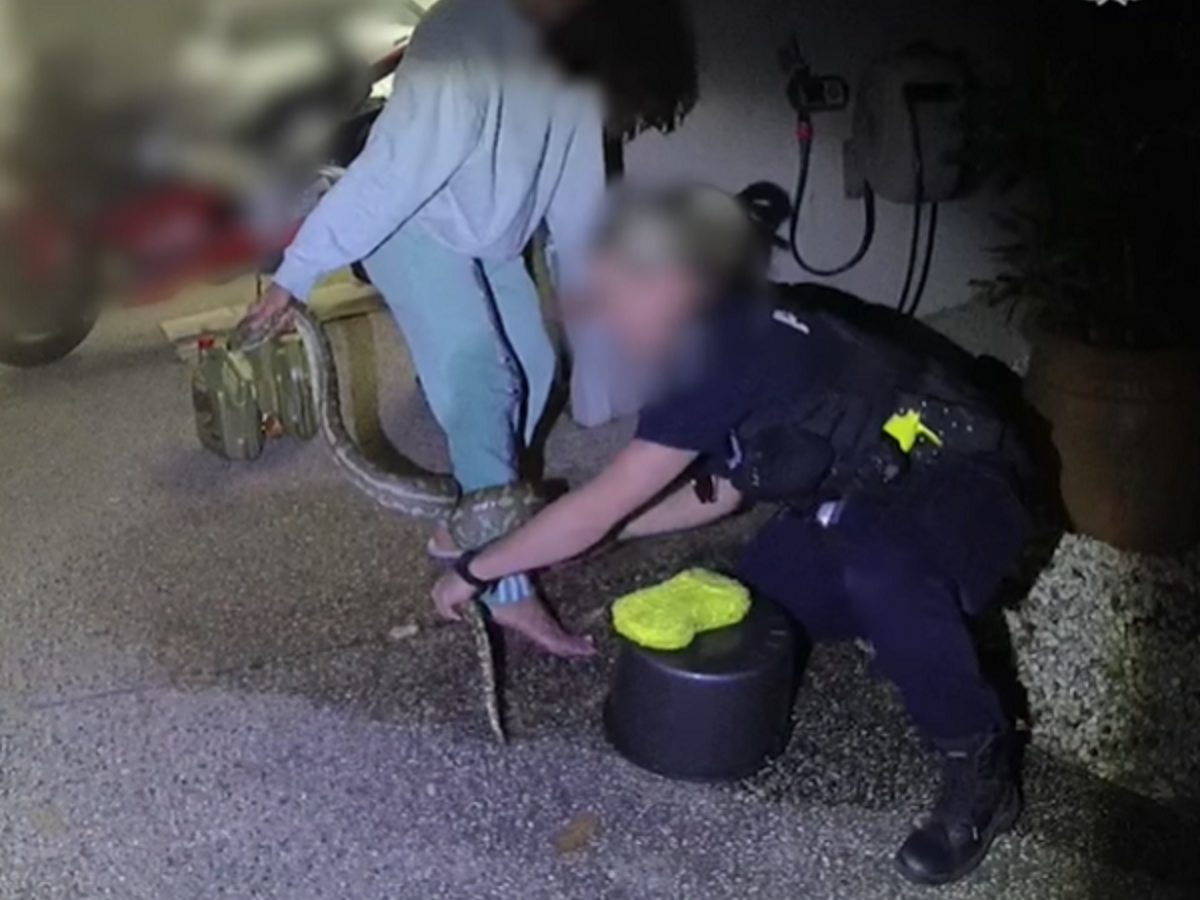 Python Coils Around Woman's Leg