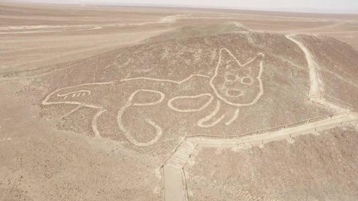 2,000-Yr-Old Giant Cat Drawing Found In UNESCO World Heritage Site In ...