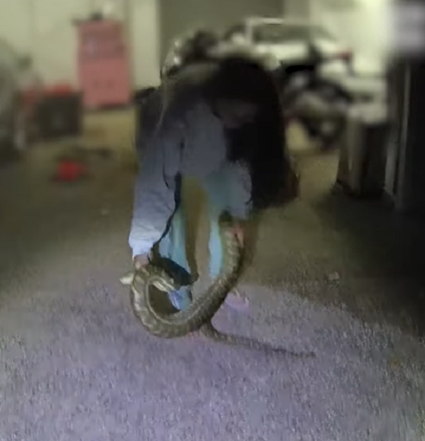 Python Coils Around Woman's Leg
