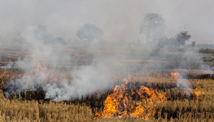 Winter Crop Burning Has Begun