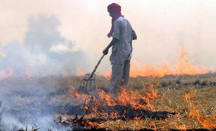 Winter Crop Burning Has Begun