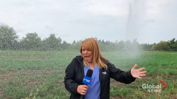 Reporter Gets Sprinkled On Live TV