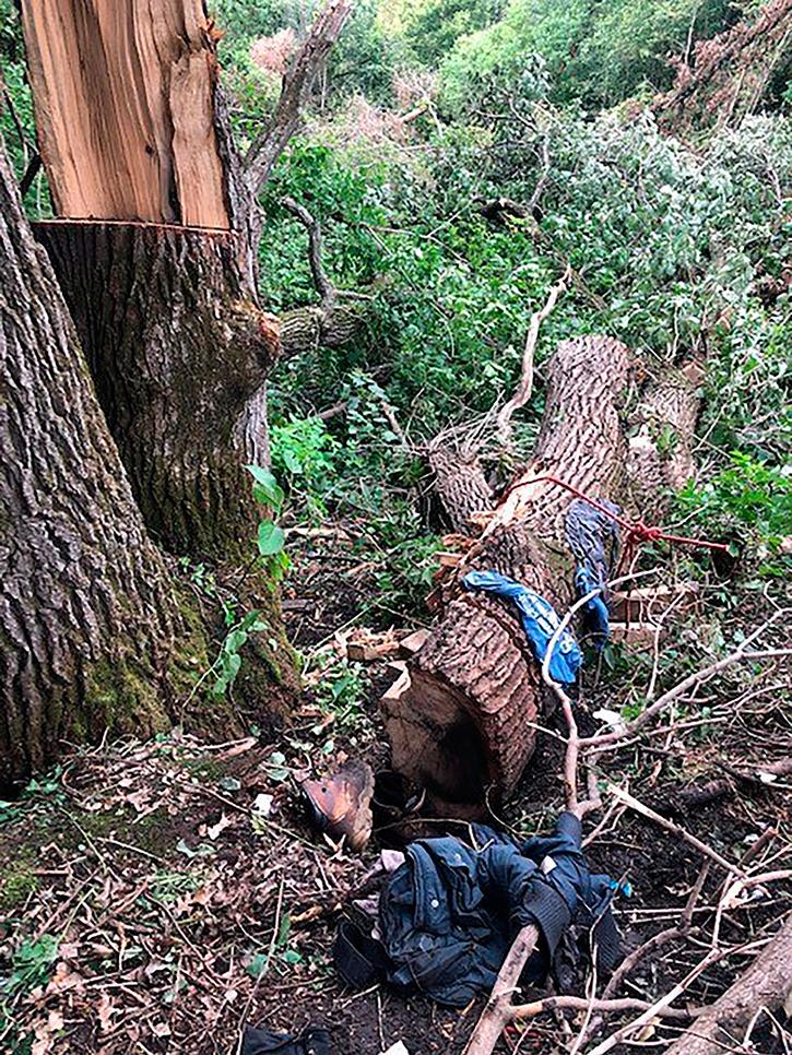 Minnesota Man Trapped Under Tree For Four Days Survives