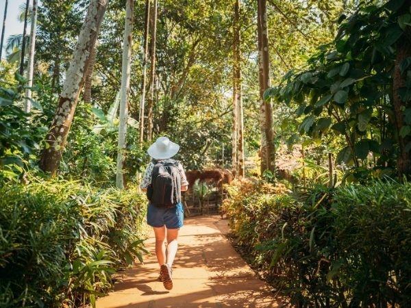 Tips To Plan A Workation