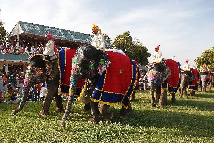 With No Tourists And Income, Elephants In Rajasthan's Hathigaon Are ...
