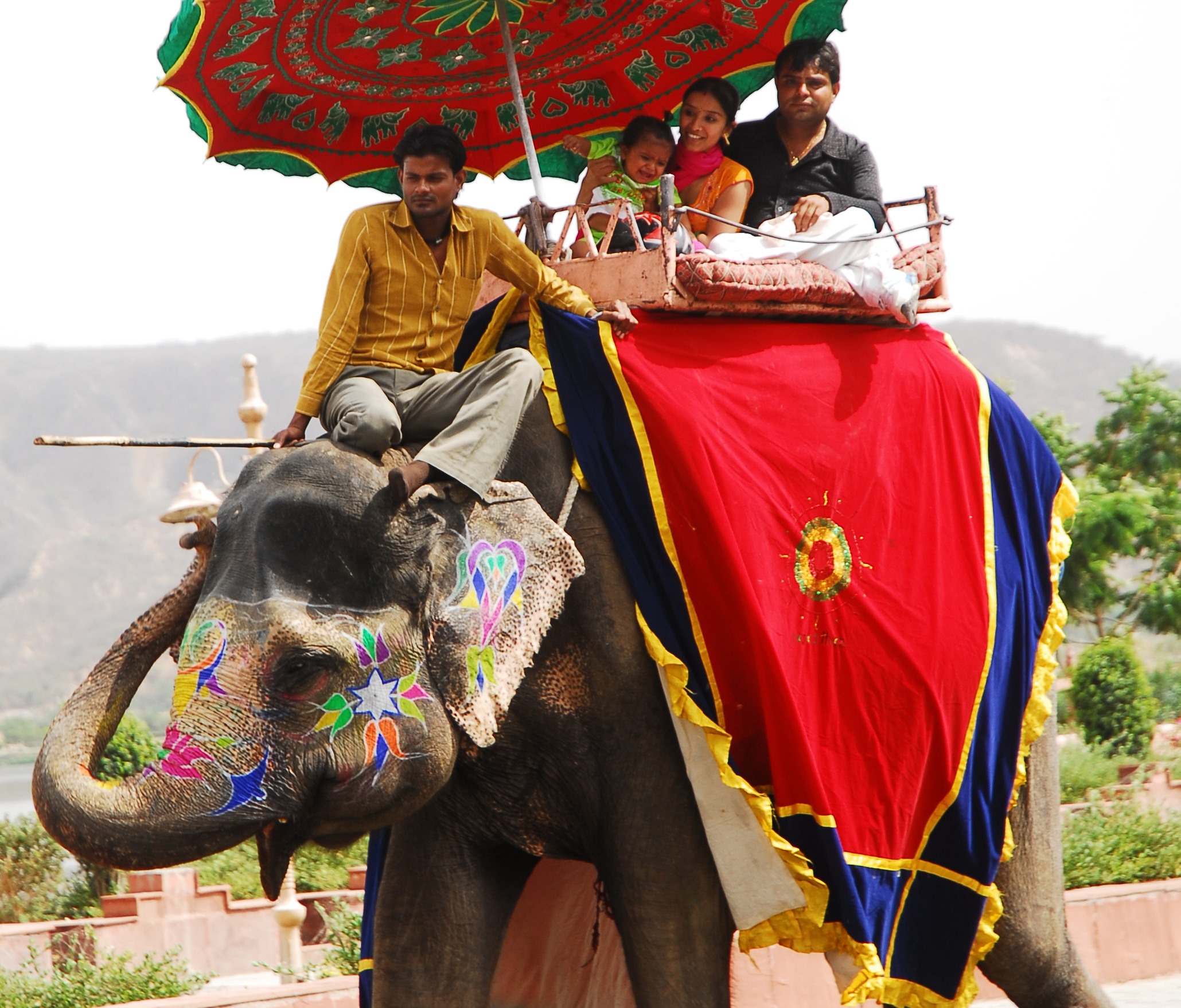 With No Tourists And Income, Elephants In Rajasthan's Hathigaon Are ...