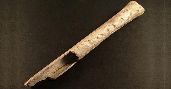 Bronze Age Man Made Music Instruments From Bones Of Dead Family