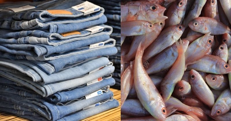 Your Jeans Are Killing Marine Life, As Microfibers From Denim Choke Fishes