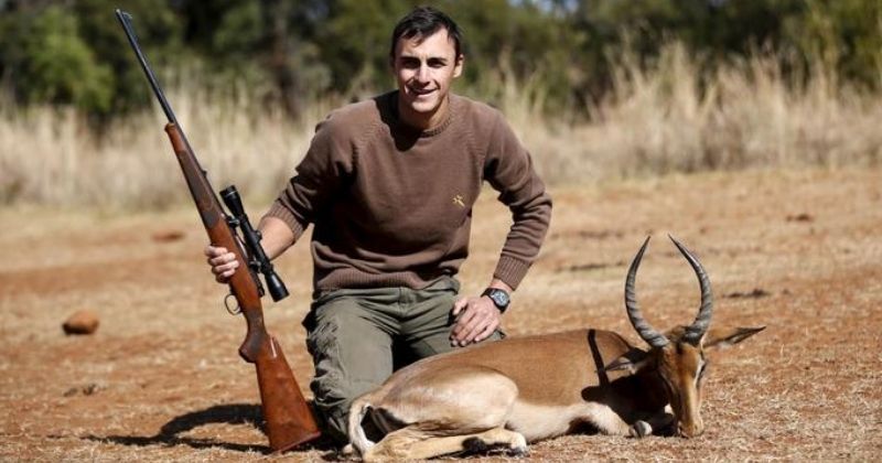 Humans Have Caused Catastrophic Damage To Wildlife In Last 50 Years ...