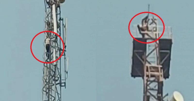 Man Climbs Mobile Tower After Fight With Wife