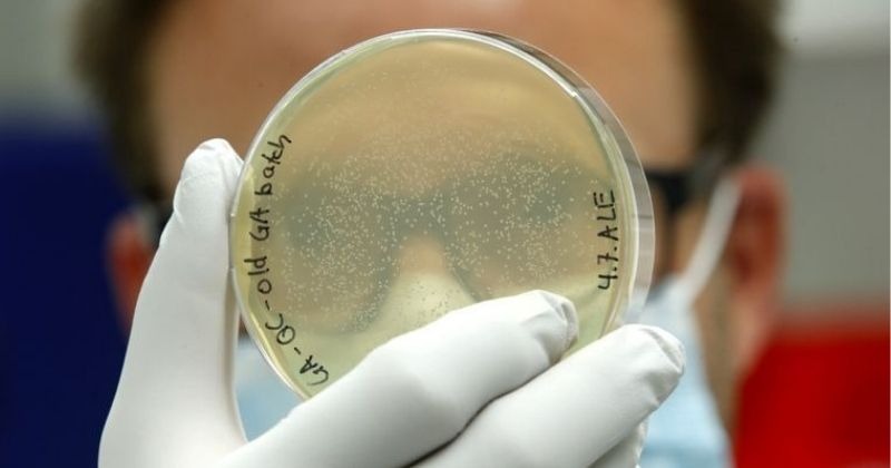 Brain Eating Parasite Found In Texas City's Water Will Take 60 Days To Fix