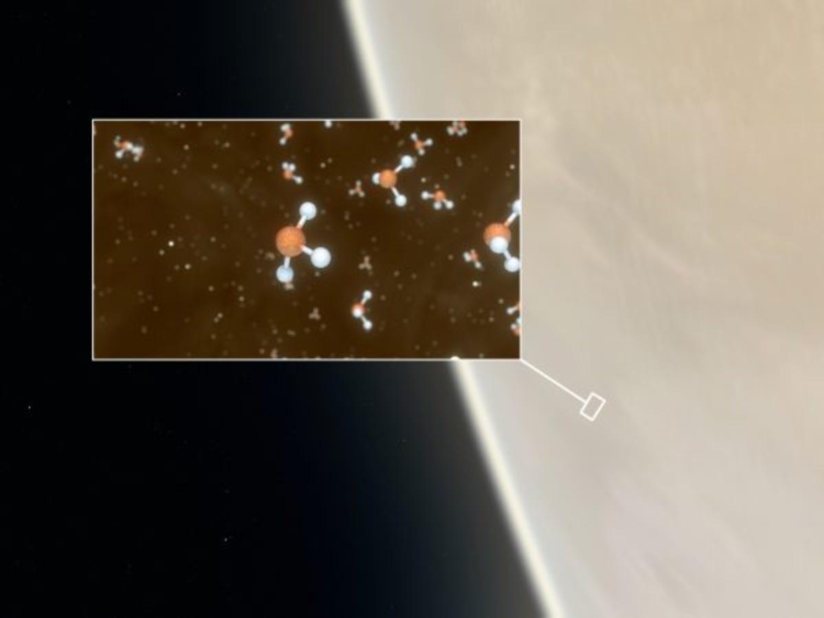 Life In Venus