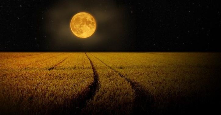 Scientists Find Rust On Moon From Chandrayaan-1 Data, Blame Earth For It