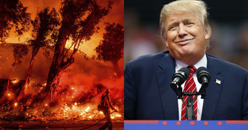 Donald Trump Says 'Trees Explode’ & Caused Wildfires