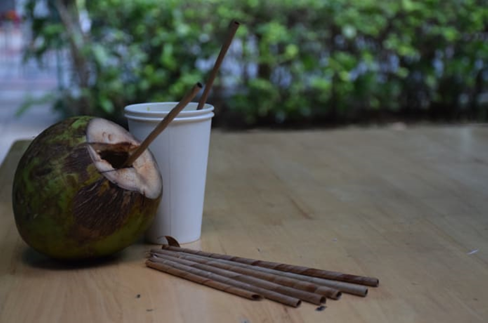 This College Professor Is Turning Discarded Coconut Leaves Into ...