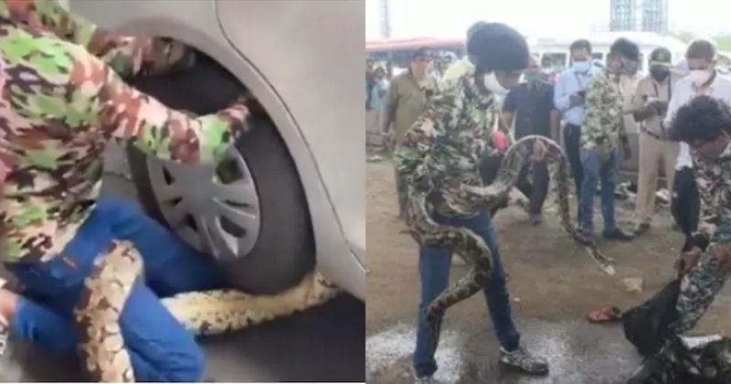 Watch: Python Rescued From Under Car In Chembur