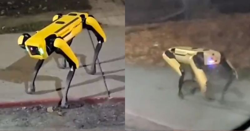 Robot dog Walking Like A Real Dog Reminds People Of Black Mirror