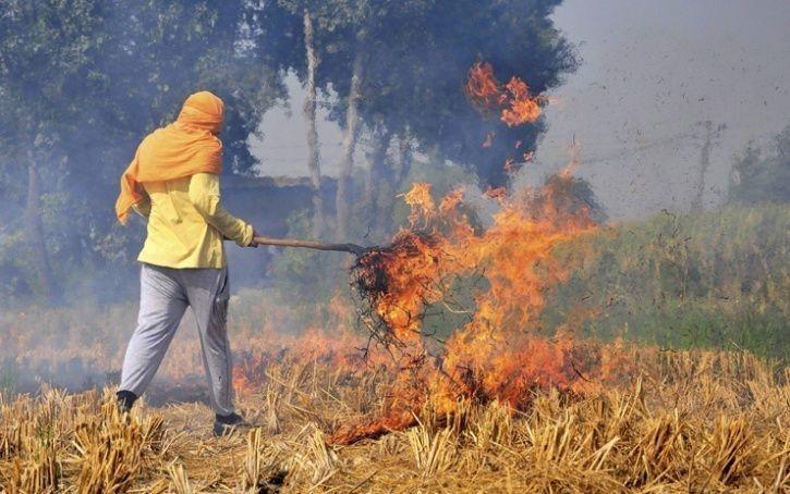 I'm A Farmer, Know Poor Farmers Can't Afford Machines To Avoid Burning ...