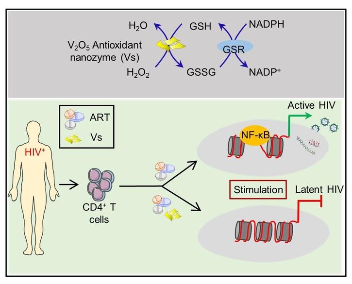 IISc Develops Artificial Enzyme To Block HIV Reactivation In AIDS Patients
