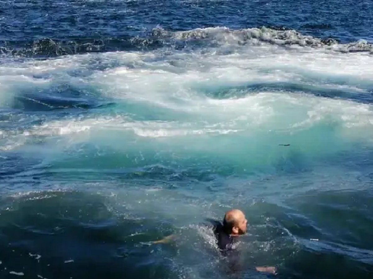 Watch: Man Knocked Overboard Almost Gets Swallowed Whole By Giant Whale