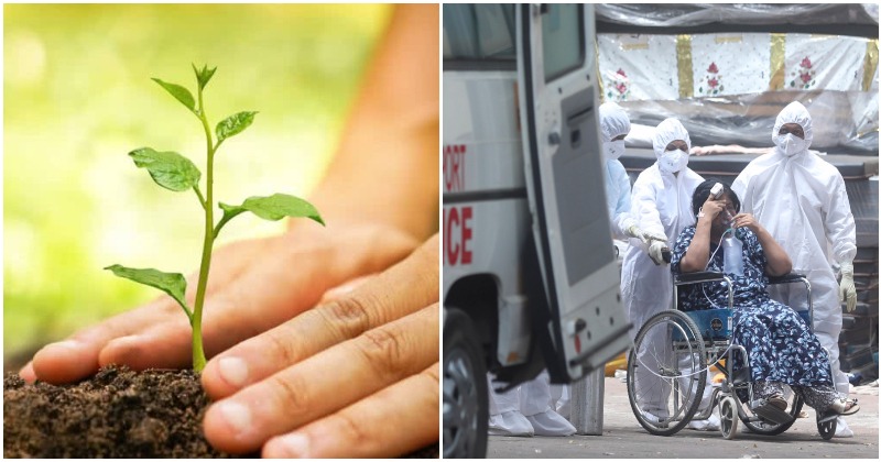 Oxygen Saved Your Life, Plant Trees & Give It Back To Nature: Nagpur ...