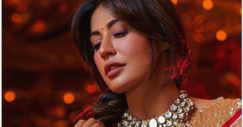 Chitrangada Singh's Bollywood Journey