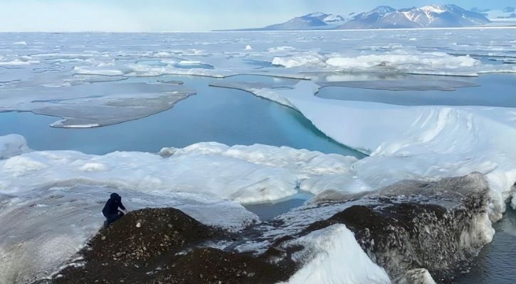 Researchers Discover Earth's Northernmost Island Off Greenland By Accident