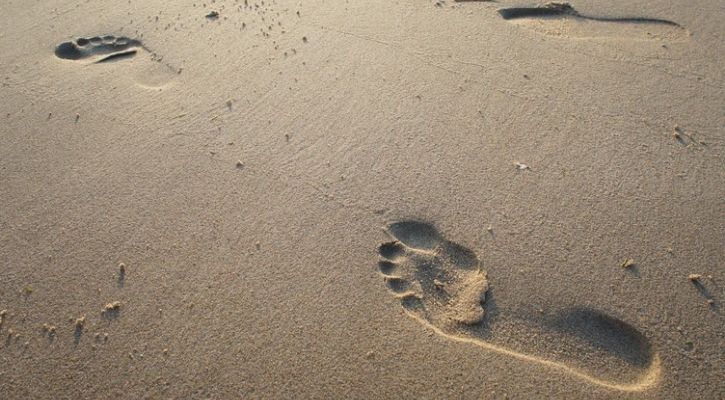 AI, The Investigator? Twin Studies Highlight AI's Role In Identifying ...