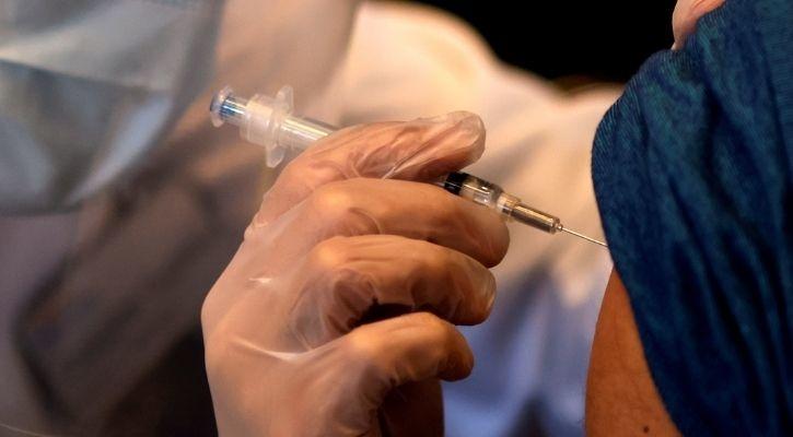 Scientists Develop Plant-Based Vaccines That Are Cheaper & Can Be ...