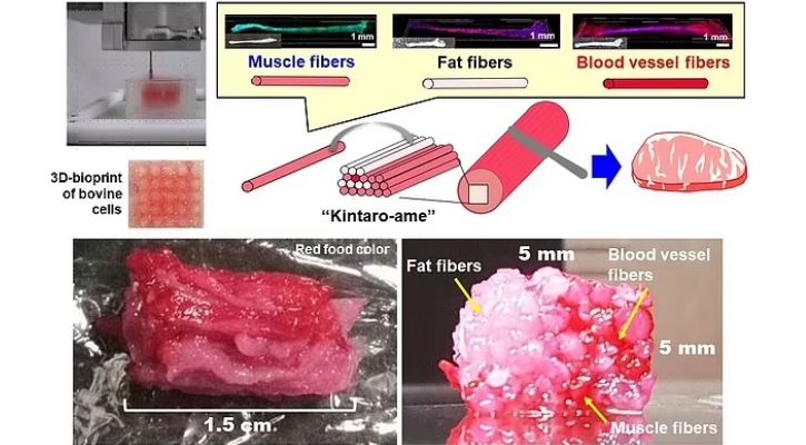 Scientists 3D Print World's Most Expensive Lab Beef Without Killing A Cow