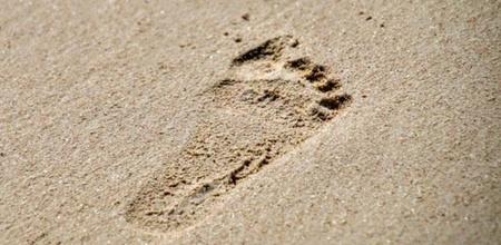 AI, The Investigator? Twin Studies Highlight AI's Role In Identifying ...