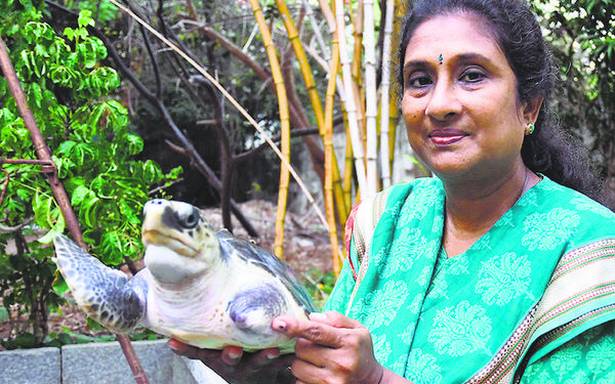 Supraja Dharini: एक कछुए की मौत ने बदल दी सोच, पूरी ज़िन्दगी कछुओं ...