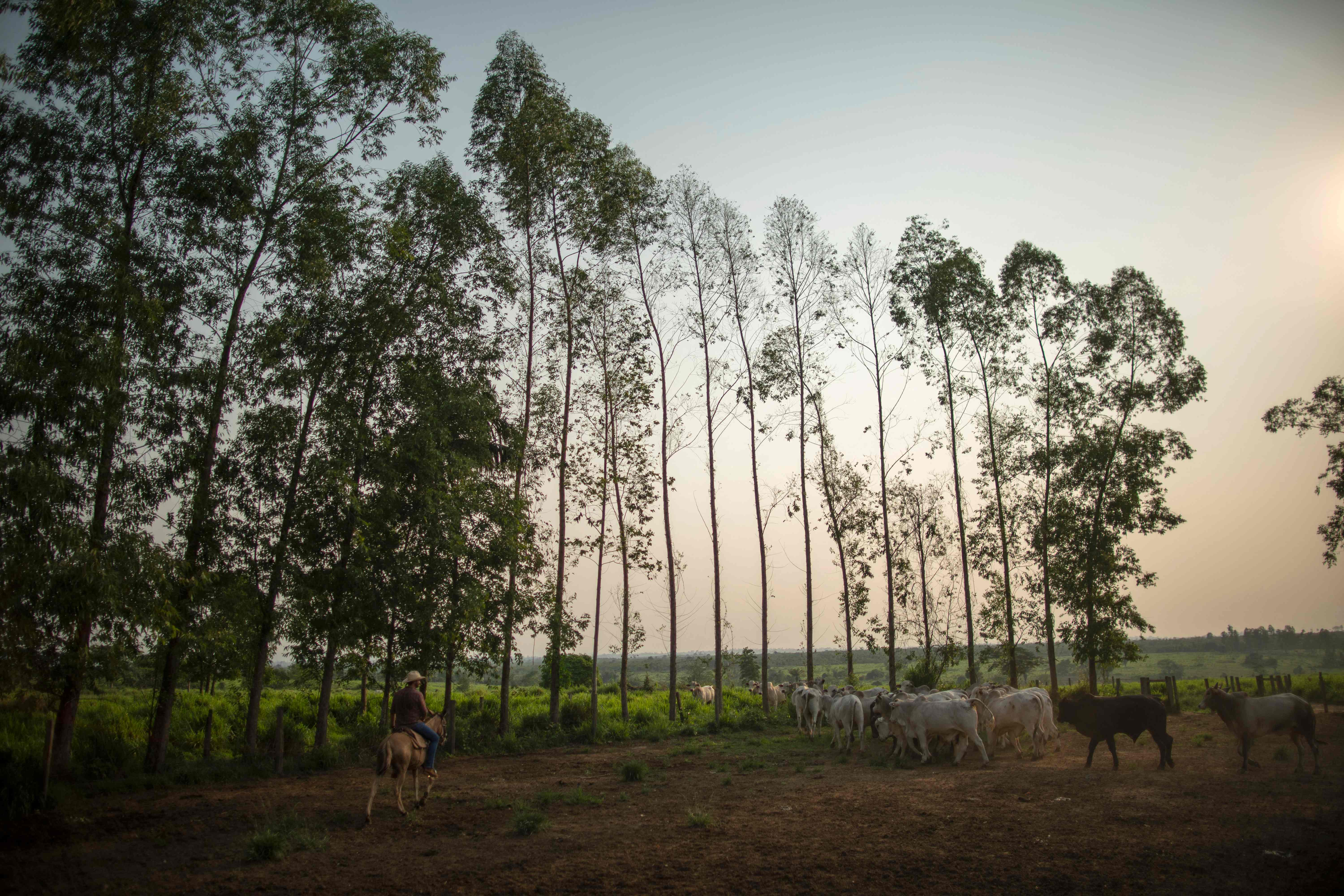 How Residents Of Two MP Villages Turned Their Barren Land Into A 1,030 ...