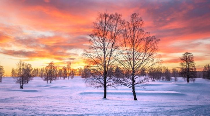 Winter Season 2021: Google Doodle Celebrates Winter’s Arrival With ...