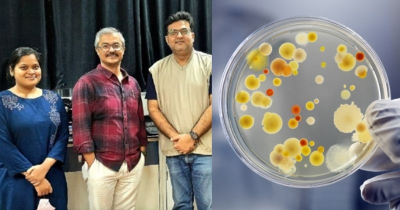Indian Scientists Create New Antimicrobial Agents To Kill 'Super ...