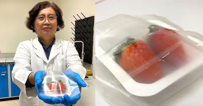 New Smart Packaging Keeps Fruits And Vegetables Fresh For Months By ...