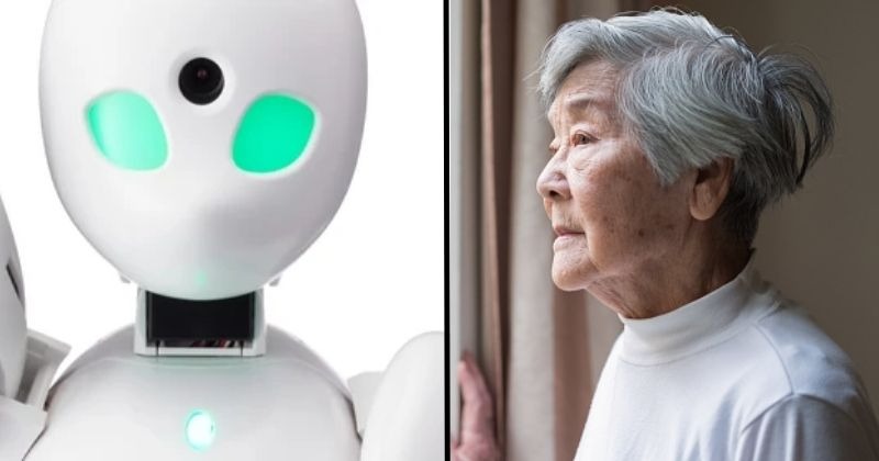 Japan's Fighting Loneliness With 'Alter Ego Robots' For People With ...