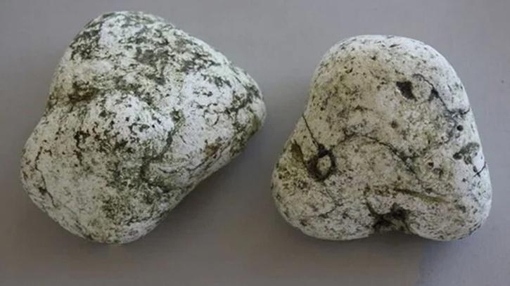 Explained: What Is Ambergris And What Is It Used For