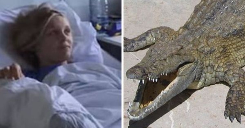 UK Teenager Gets Attacked By Crocodile In Zambia