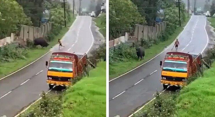 Tamil Nadu: Video Of A Man Brutally Assaulting An Injured Indian Gaur ...