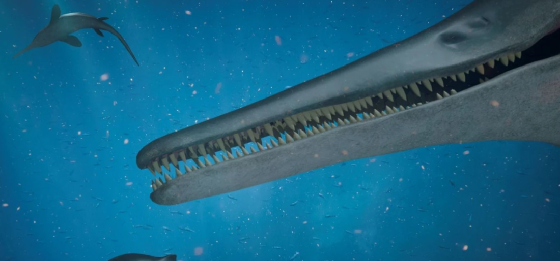 Ancient Sea Reptile Evolved Into A Gigantic Size