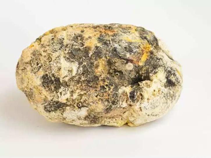 Explained: What Is Ambergris And What Is It Used For