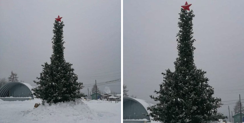 Residents Of Russian Village Outraged Over Christmas Tree That Looks ...