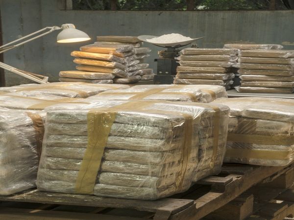 Major Drug Bust In Mumbai As 1800 Kilos Of Ganja Worth Rs 3.5 Crore ...